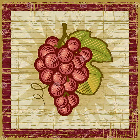 Retro grapes bunch stock vector. Illustration of board - 19195970