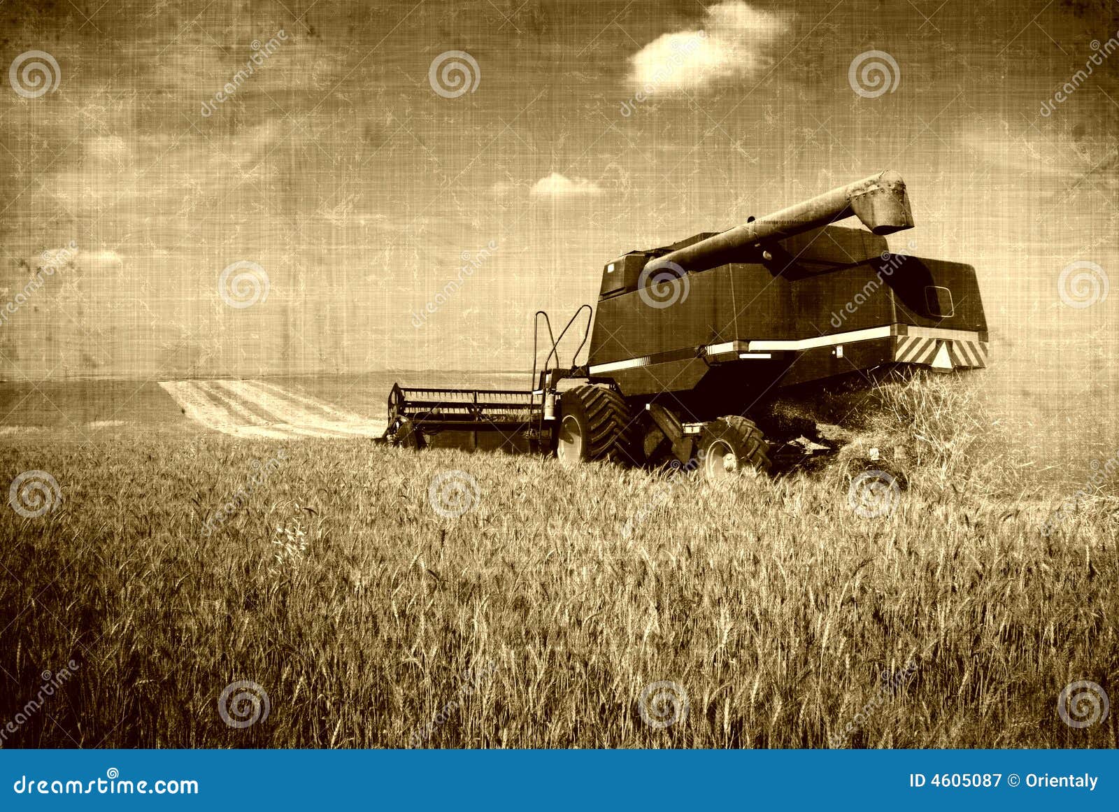 Retro harvest stock image. Image of gold, rustic, burned - 4605087