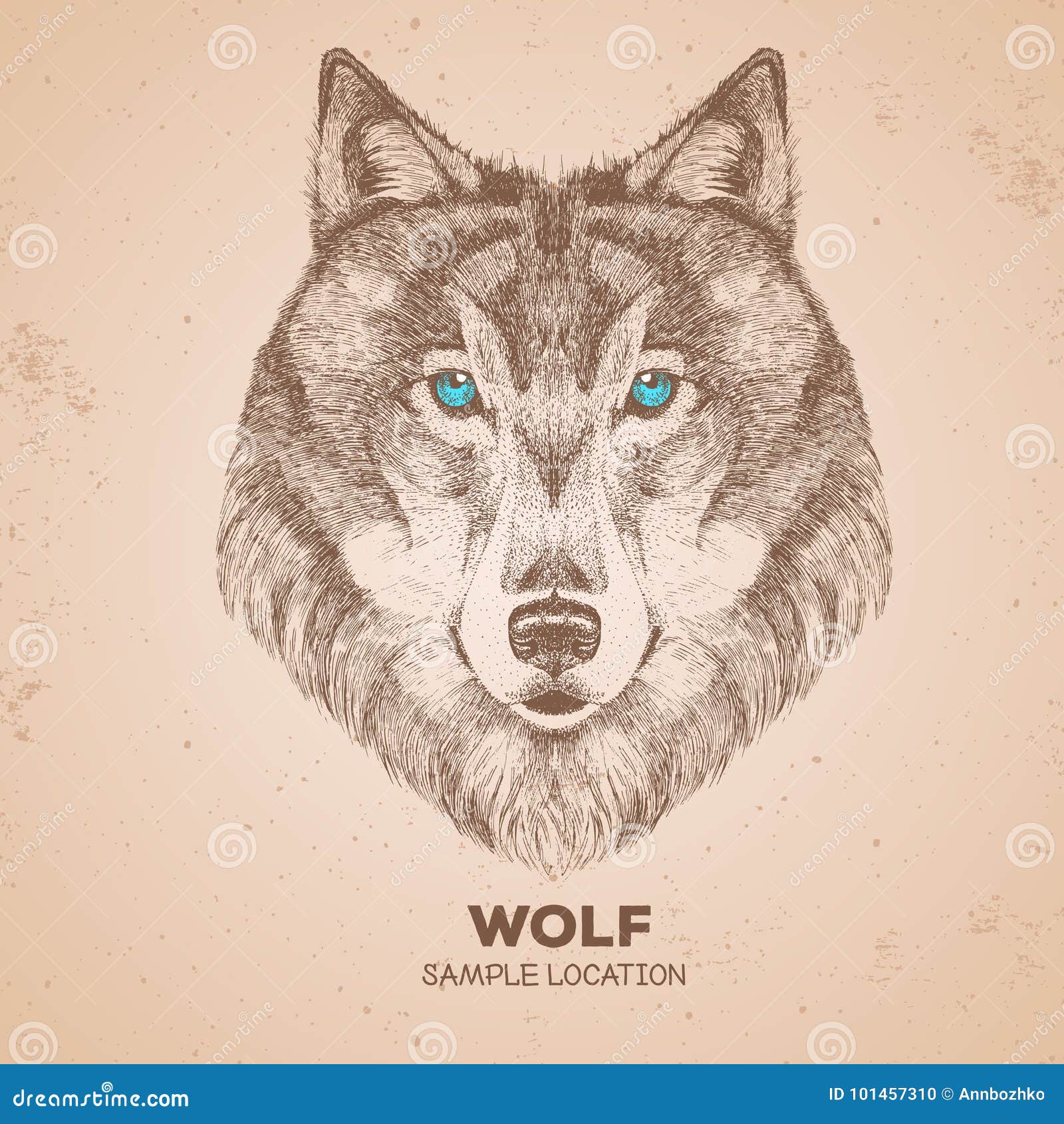 Retro Hipster Animal Wolf. Hand Drawing Muzzle of Wolf Stock Vector ...