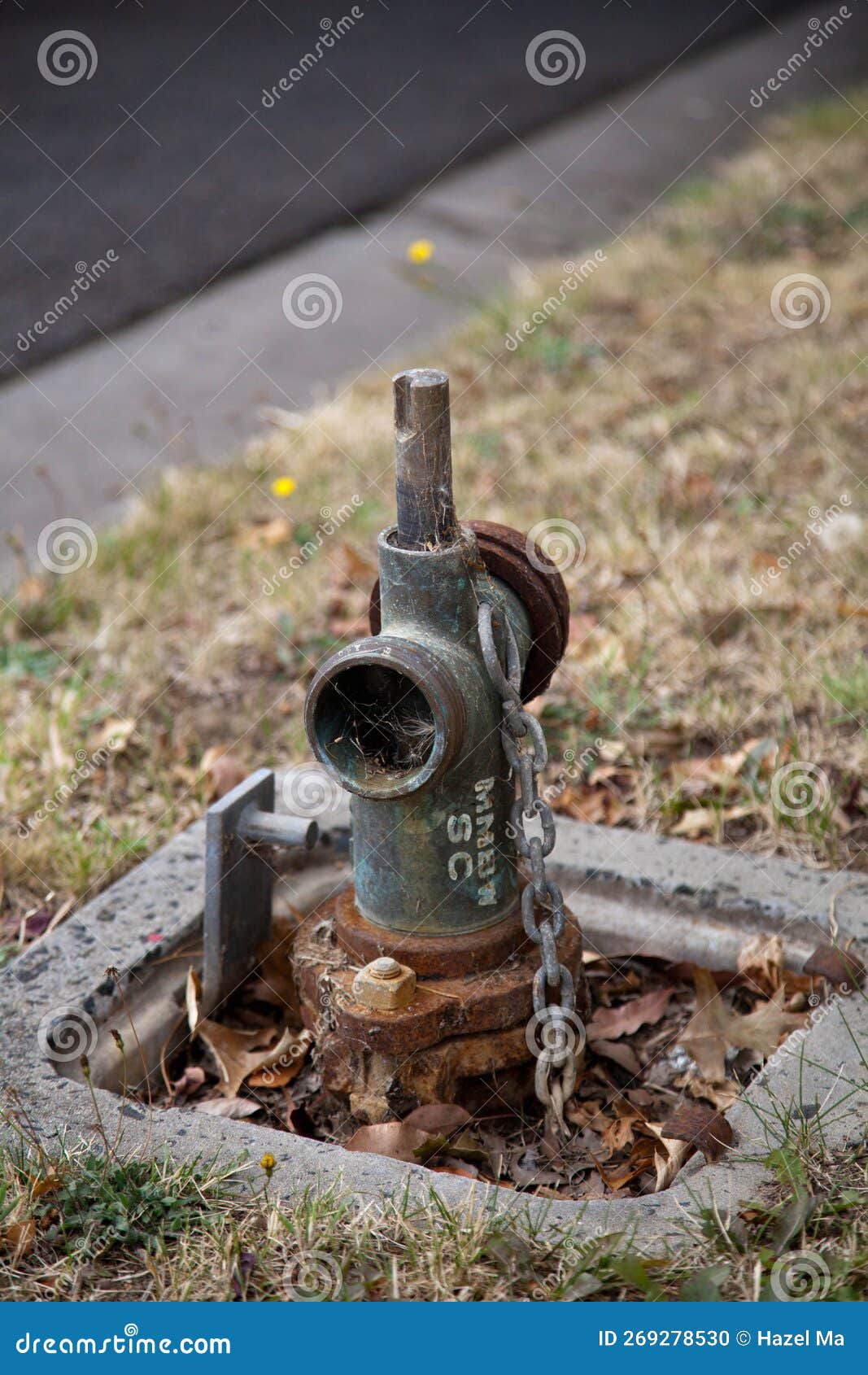 A Retro Iron Rusty Fire Hydrant on the Grass beside the Road Stock ...
