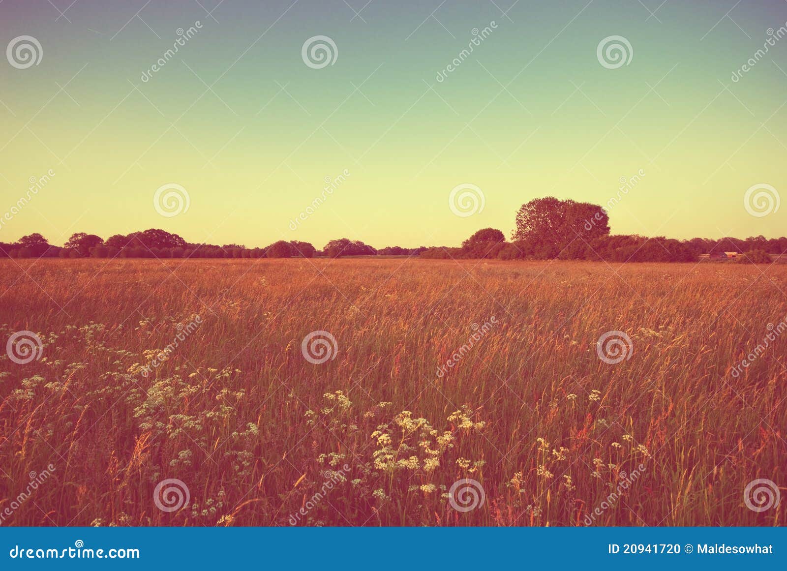 Retro landscape stock photo. Image of nature, germany - 20941720