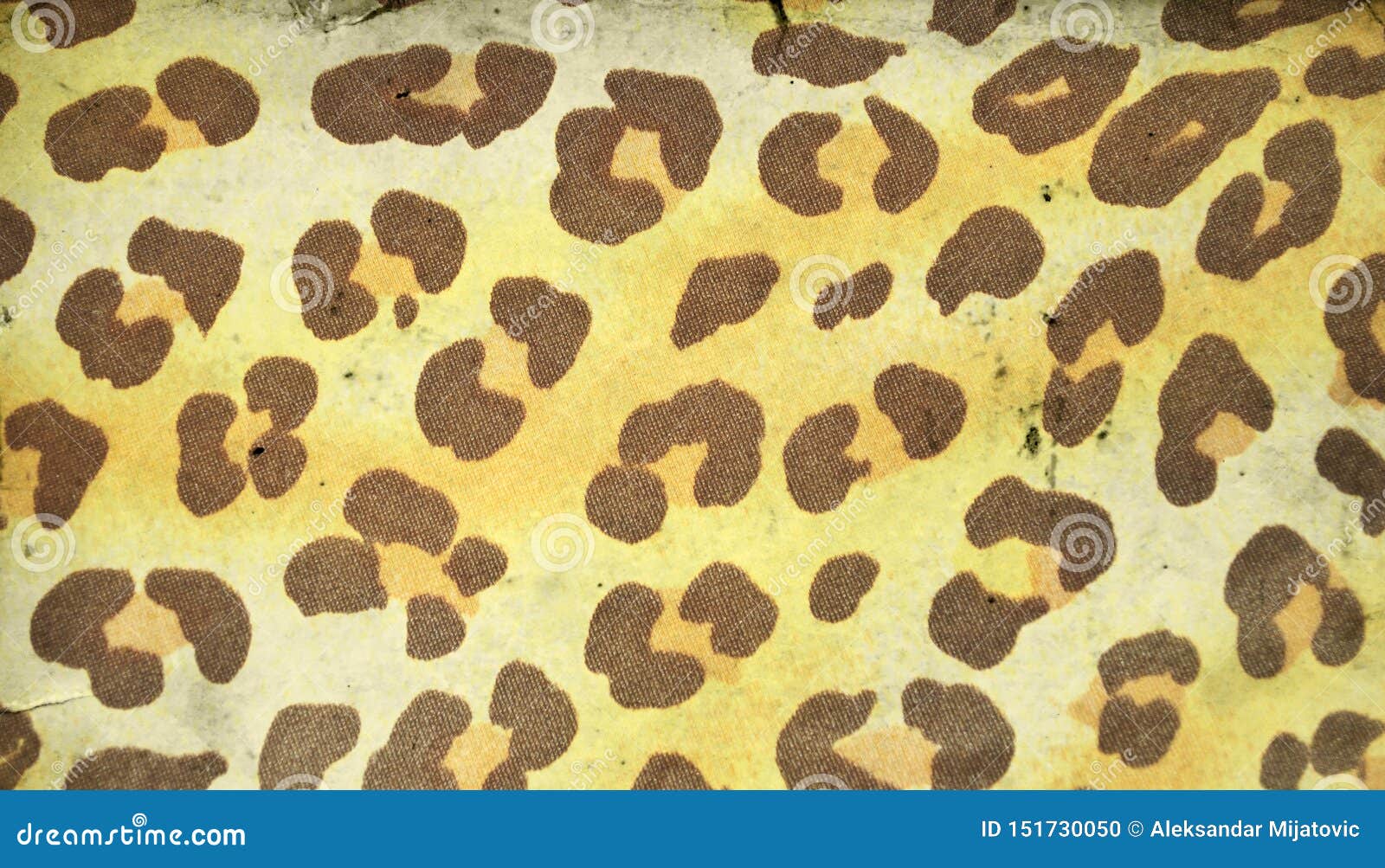 Retro leopard pattern stock photo. Image of canvas, dress - 151730050