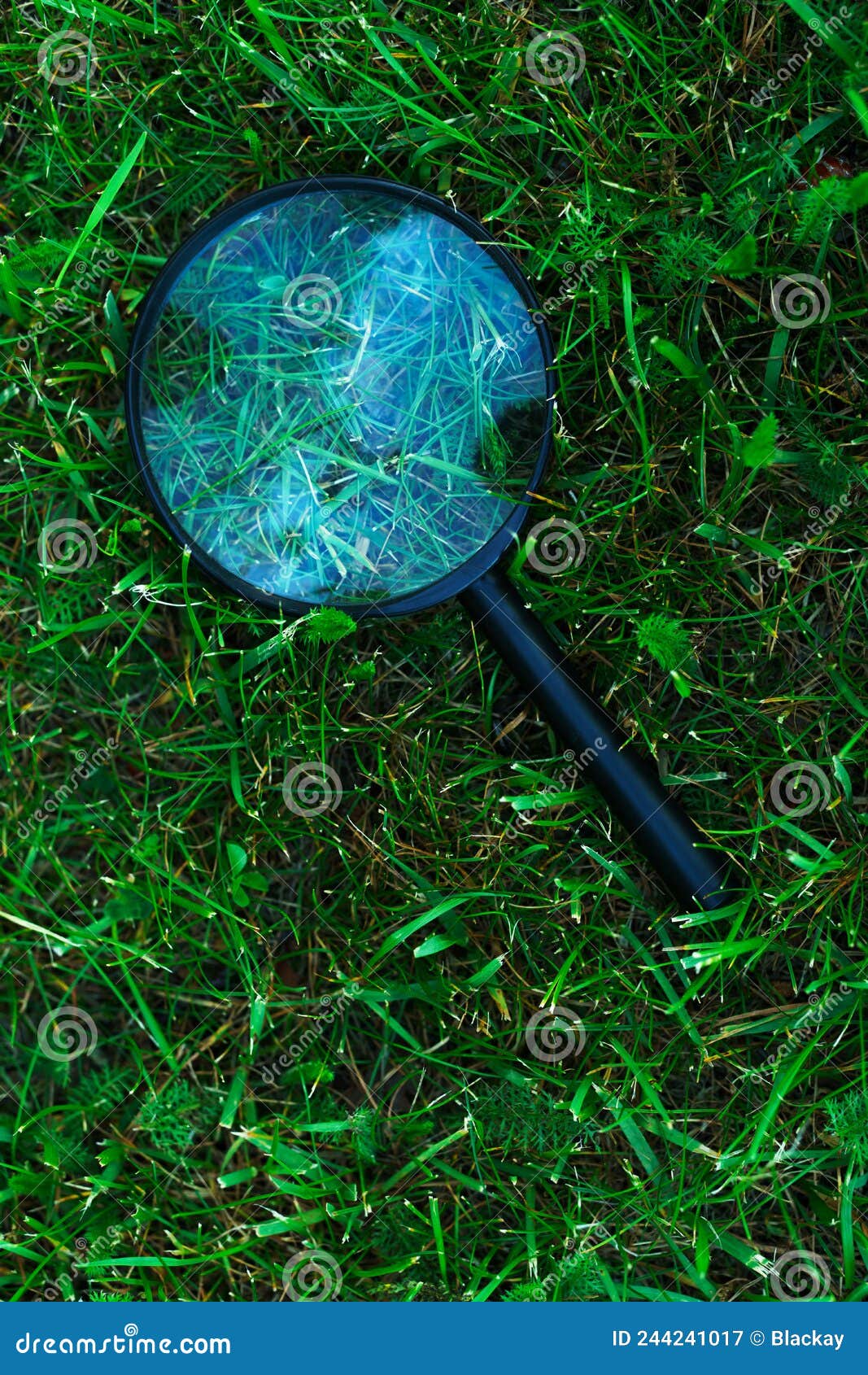 Closeup of Retro Magnifying Glass on the Grass Stock Image - Image of ...