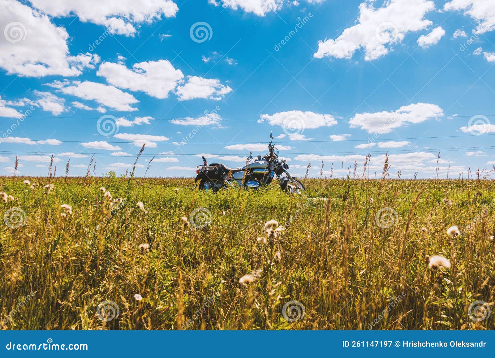 Retro Motorcycle in a Field among the Grass Stock Image - Image of ...