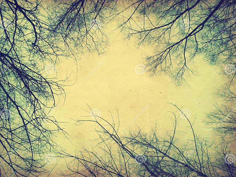 Retro Paper with Tree Branches Stock Illustration - Illustration of ...