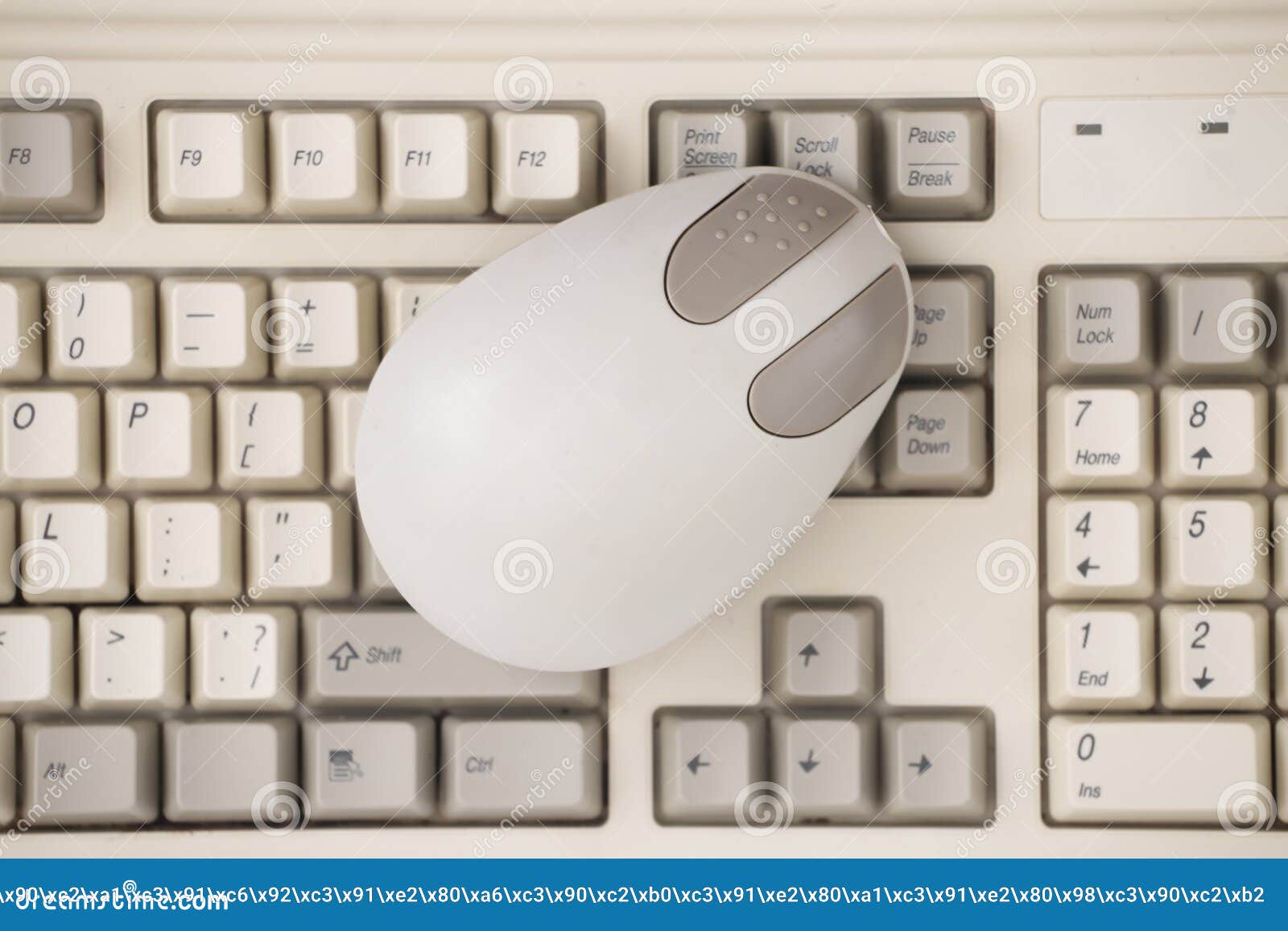 Pc mouse stock photo. Image of obsolete, technology - 249087914