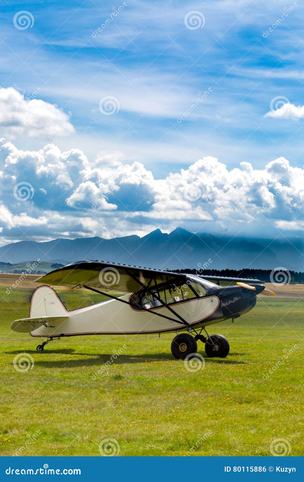 Retro Plane Landed on Meadow in Mountains Stock Photo - Image of ...
