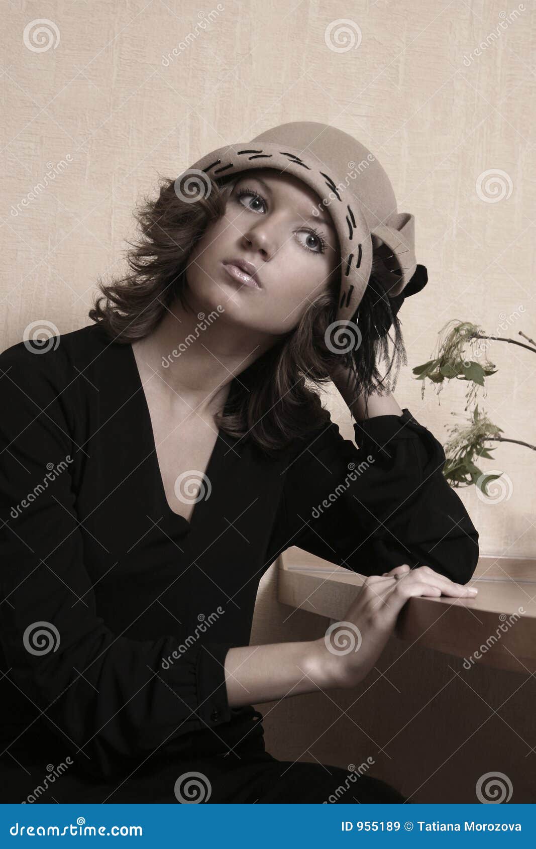 Retro a portrait stock image. Image of nose, eyes, magnificent - 955189