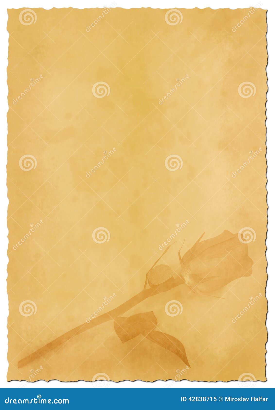 Retro Ripped Paper with Rose Stock Illustration - Illustration of ...