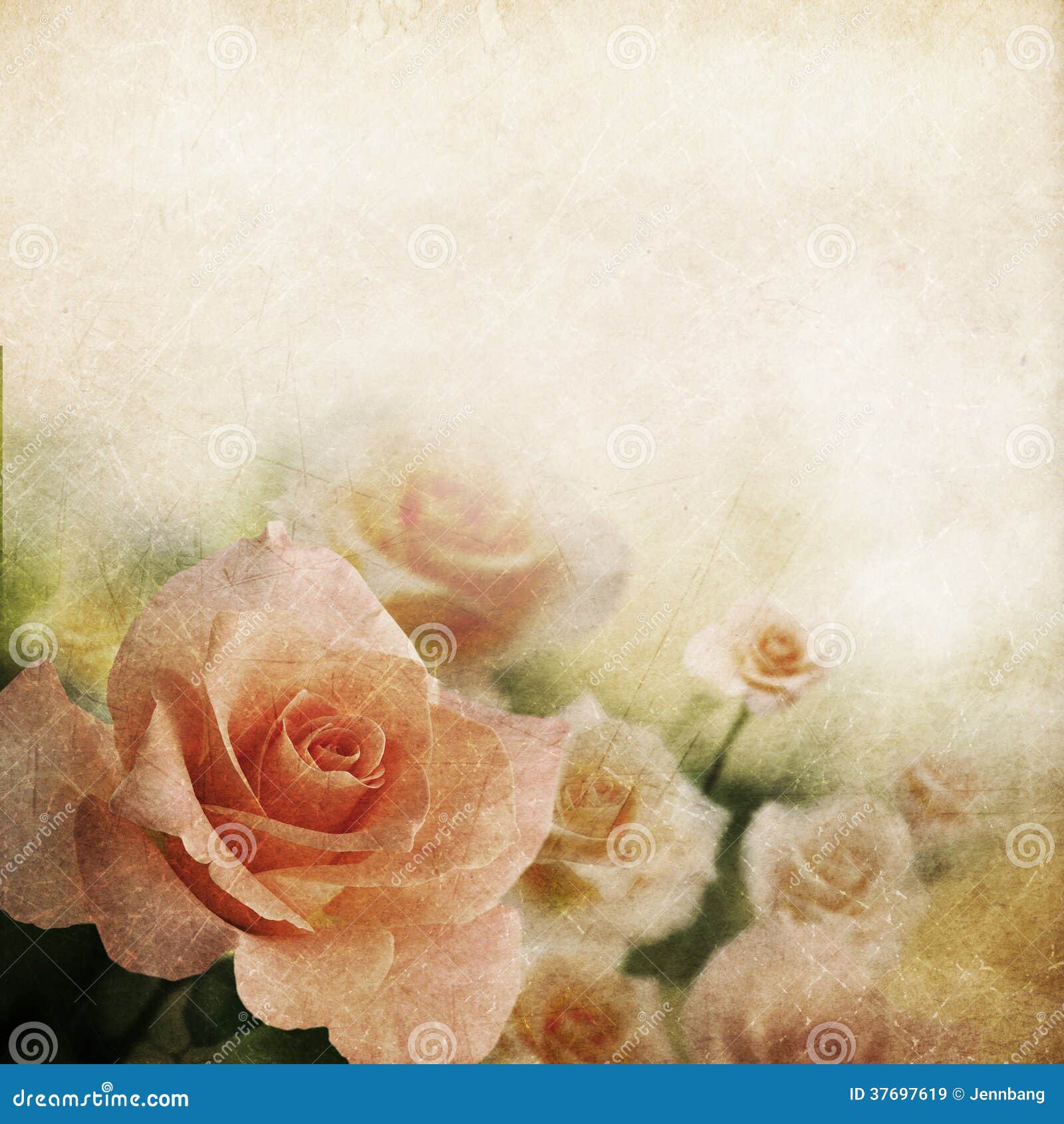 Retro rose background stock illustration. Illustration of pink - 37697619