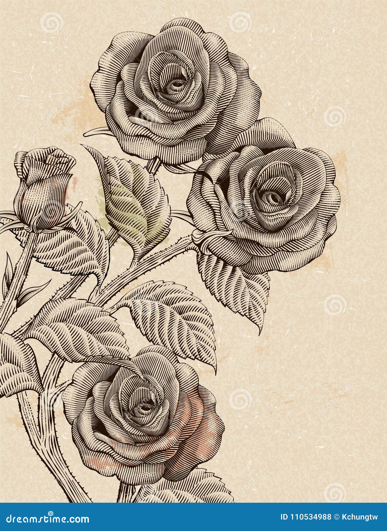Retro Roses Decorative Elements Stock Illustration - Illustration of ...
