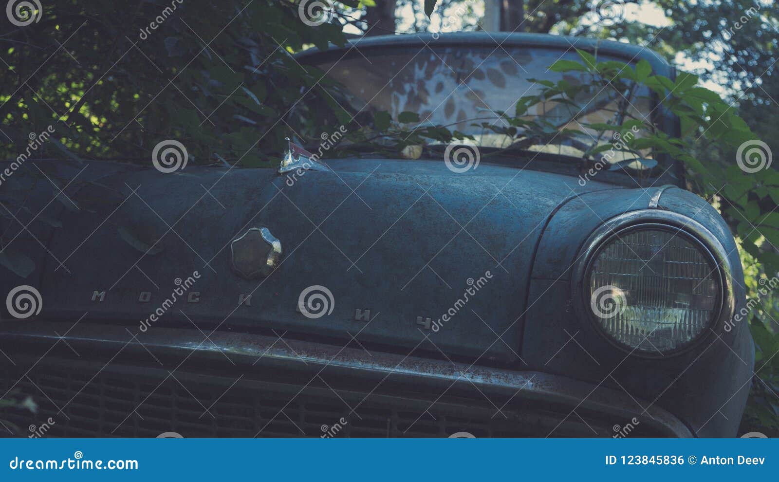 Retro Soviet Blue Car Overgrown with Grass. Classic Car Rusting in a ...