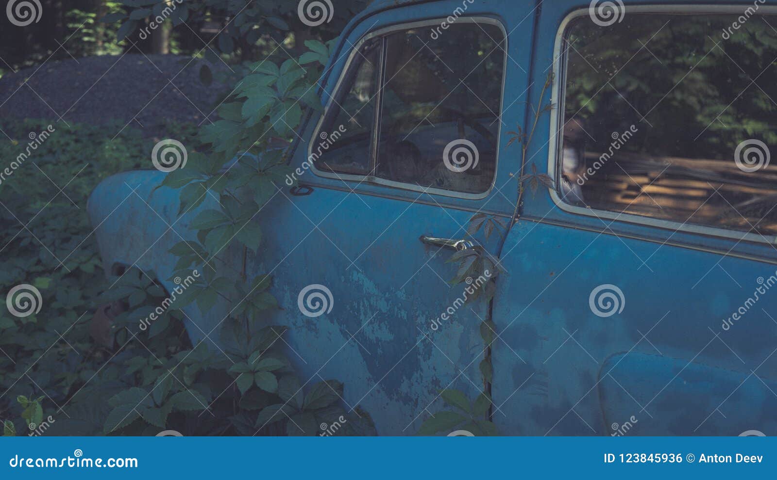 Retro Soviet Blue Car Overgrown with Grass. Classic Car Rusting in a ...
