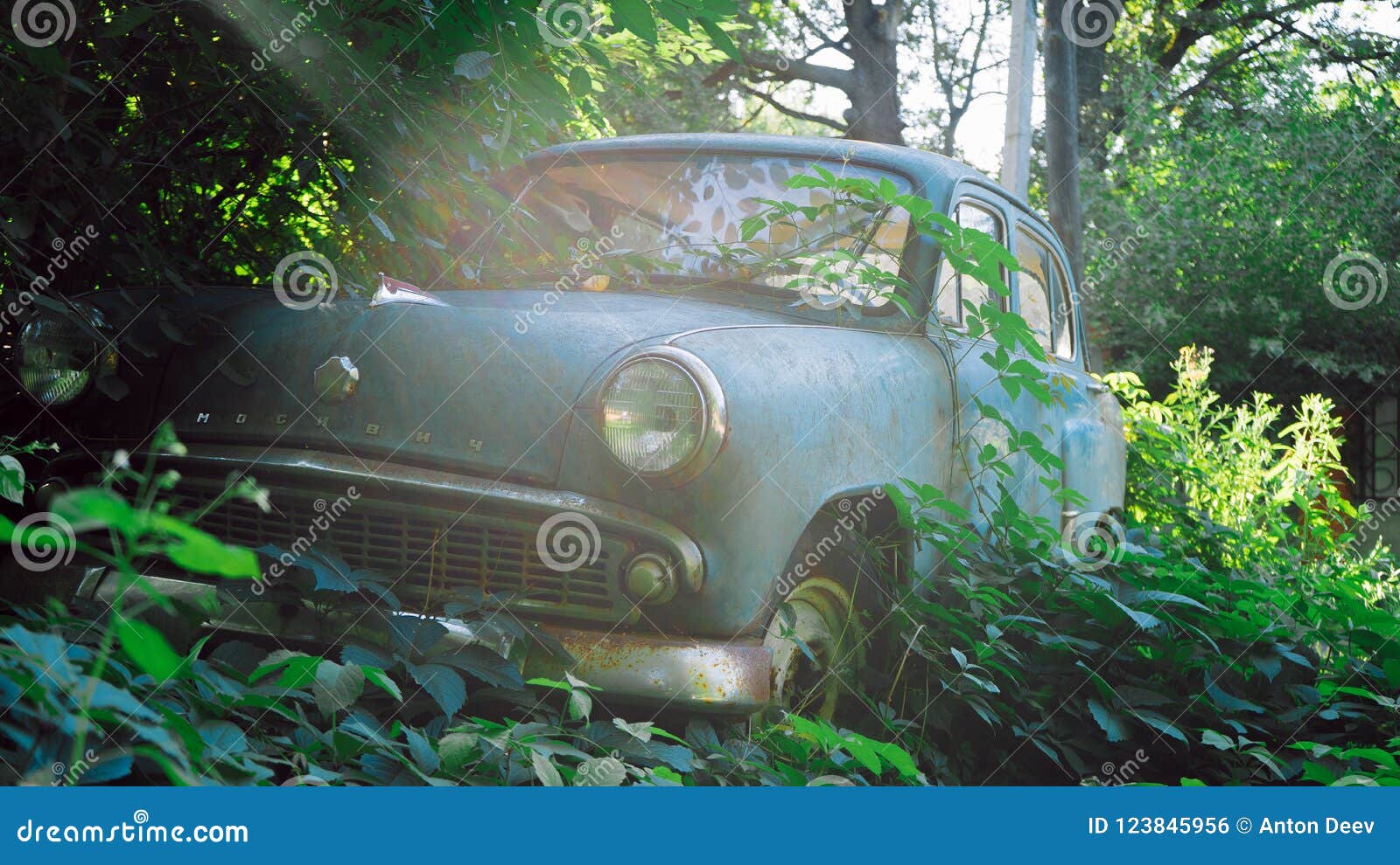 Retro Soviet Blue Car Overgrown with Grass. Classic Car Rusting in a ...
