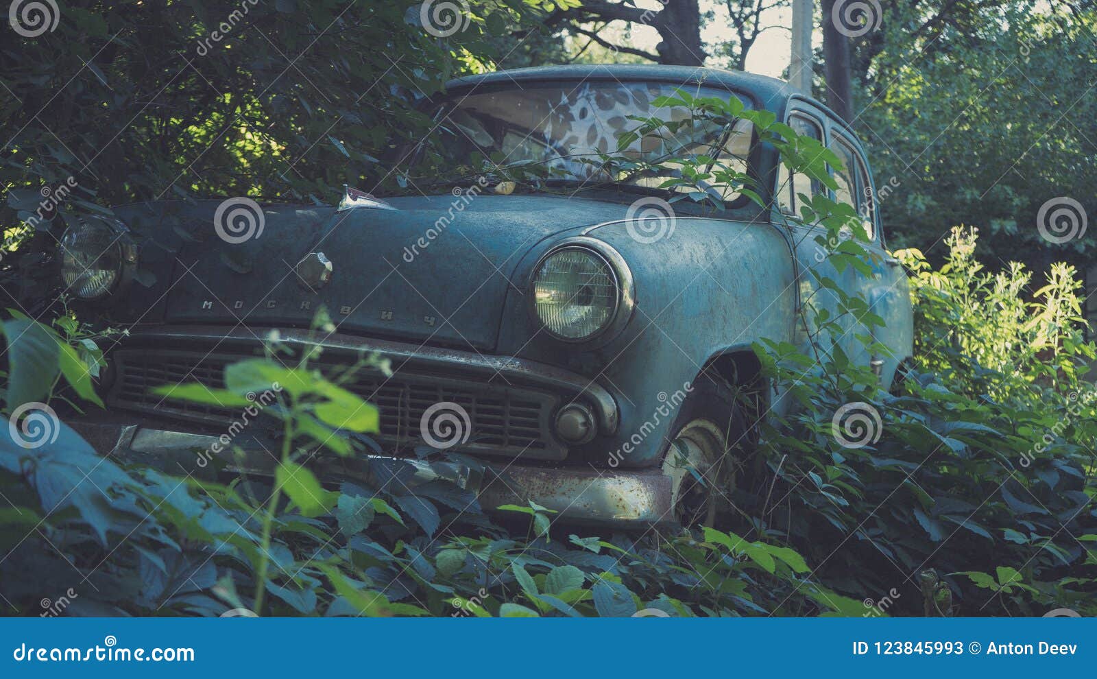 Retro Soviet Blue Car Overgrown with Grass. Classic Car Rusting in a ...