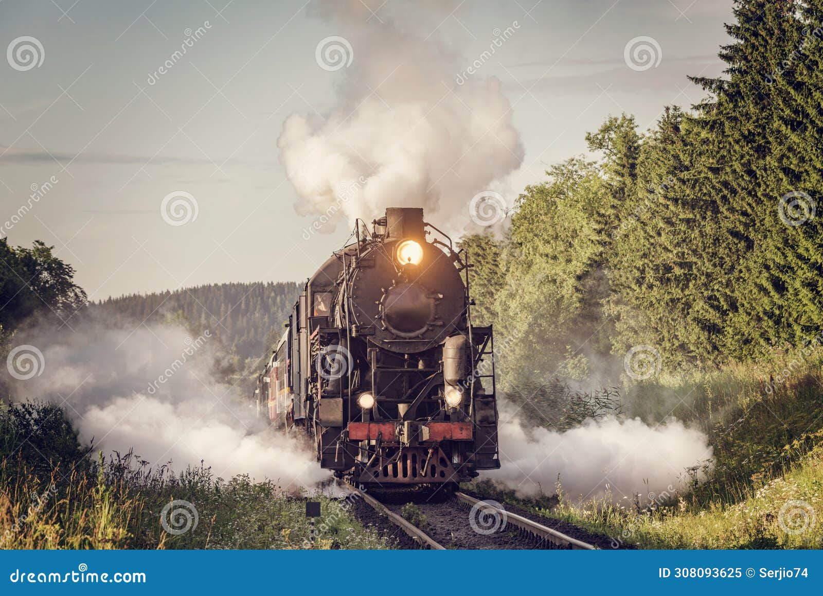 Retro Steam Train Moves in the Forest Stock Image - Image of railroad ...