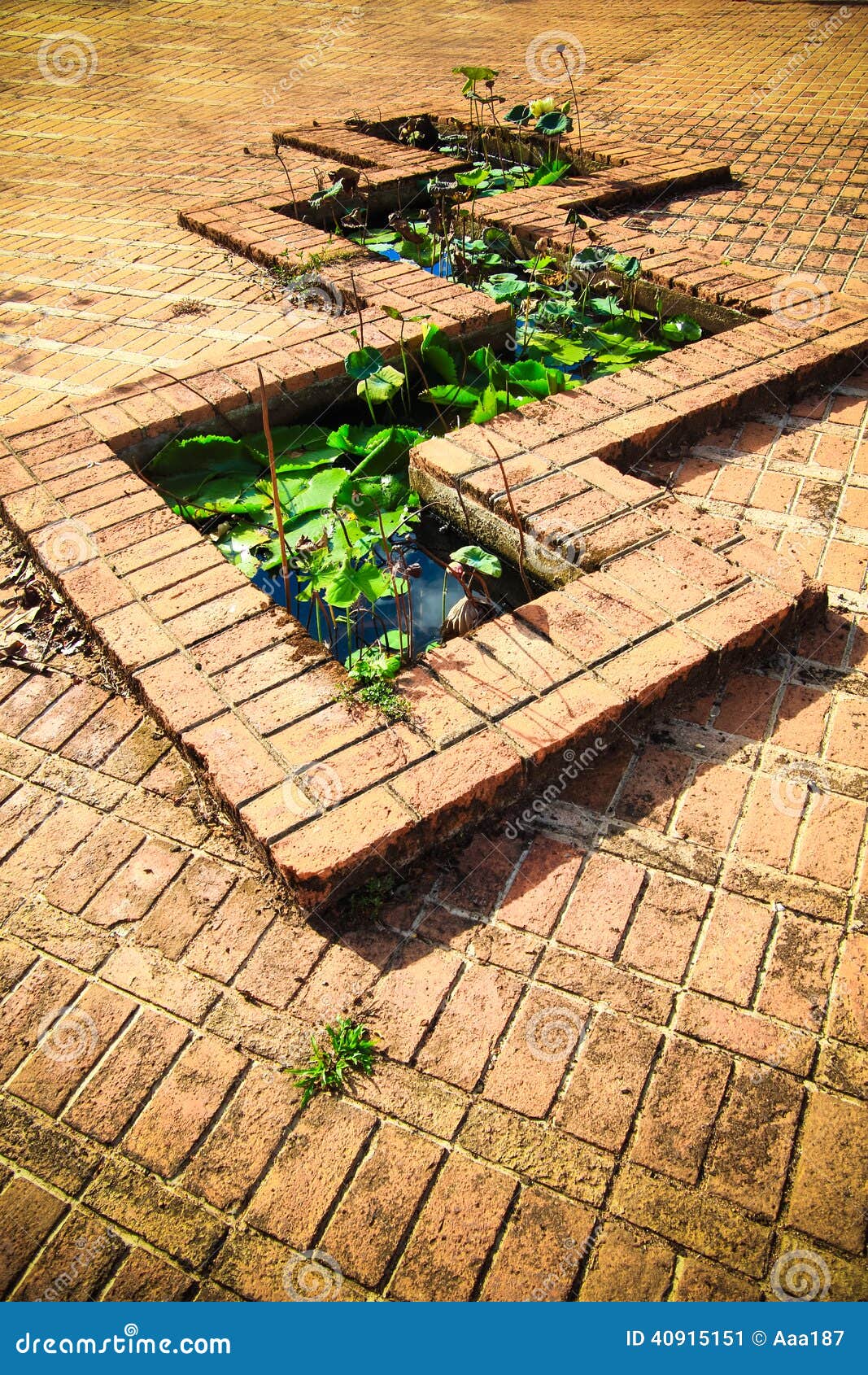 Brick pond. stock image. Image of gardening, decoration - 40915151