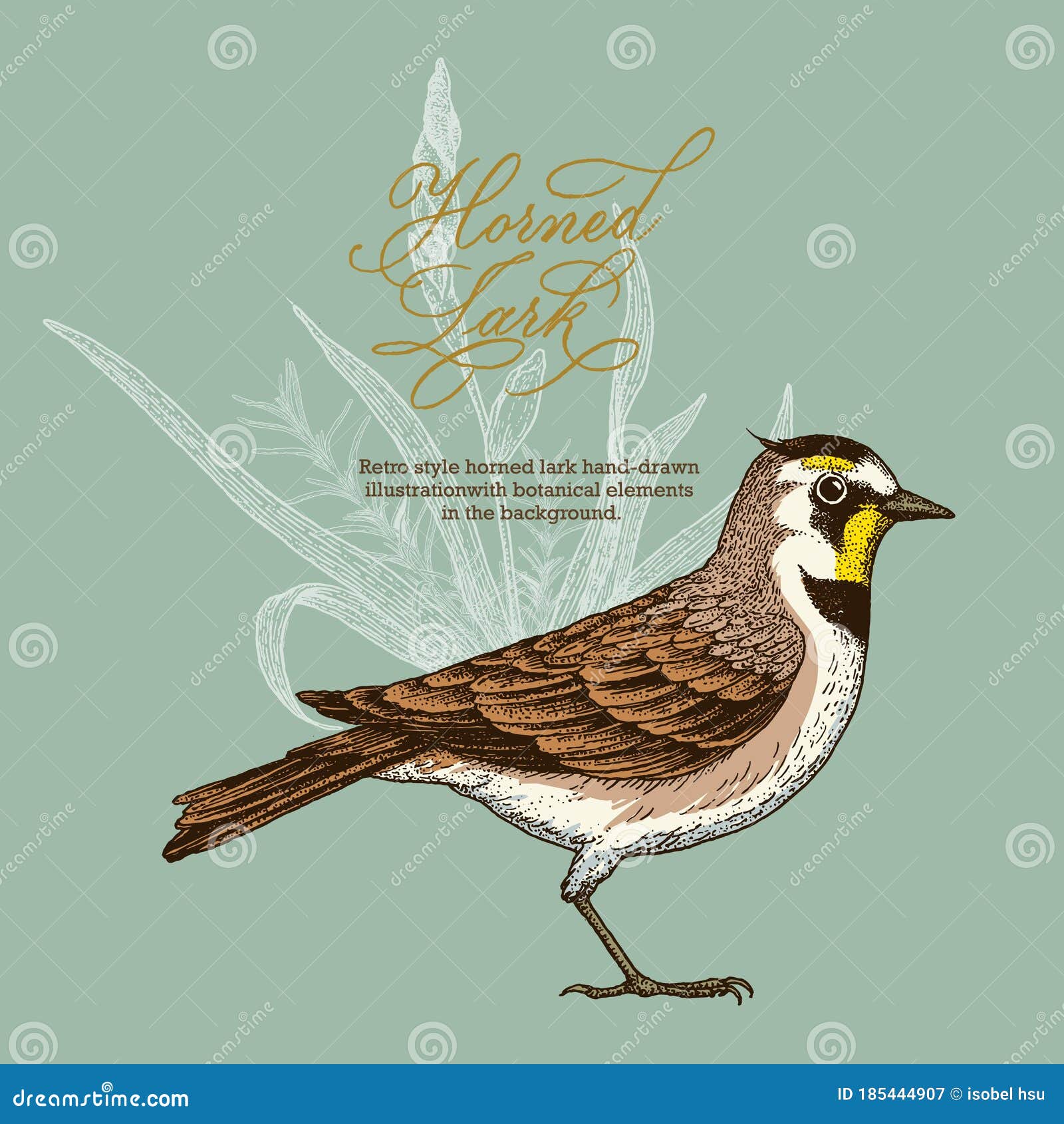 The Horned Lark Silhouette Vector Illustration Isolated In White ...