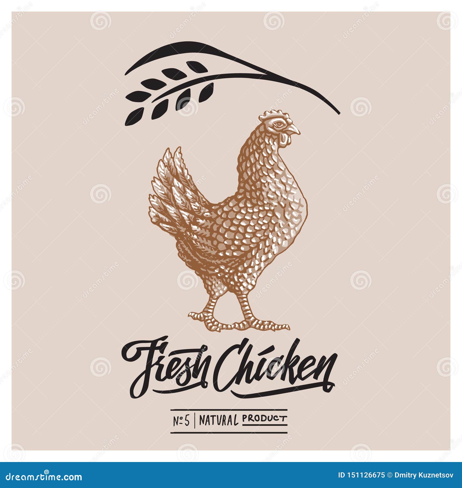 Retro Styled Design Template and Calligraphical Text with Engraving ...