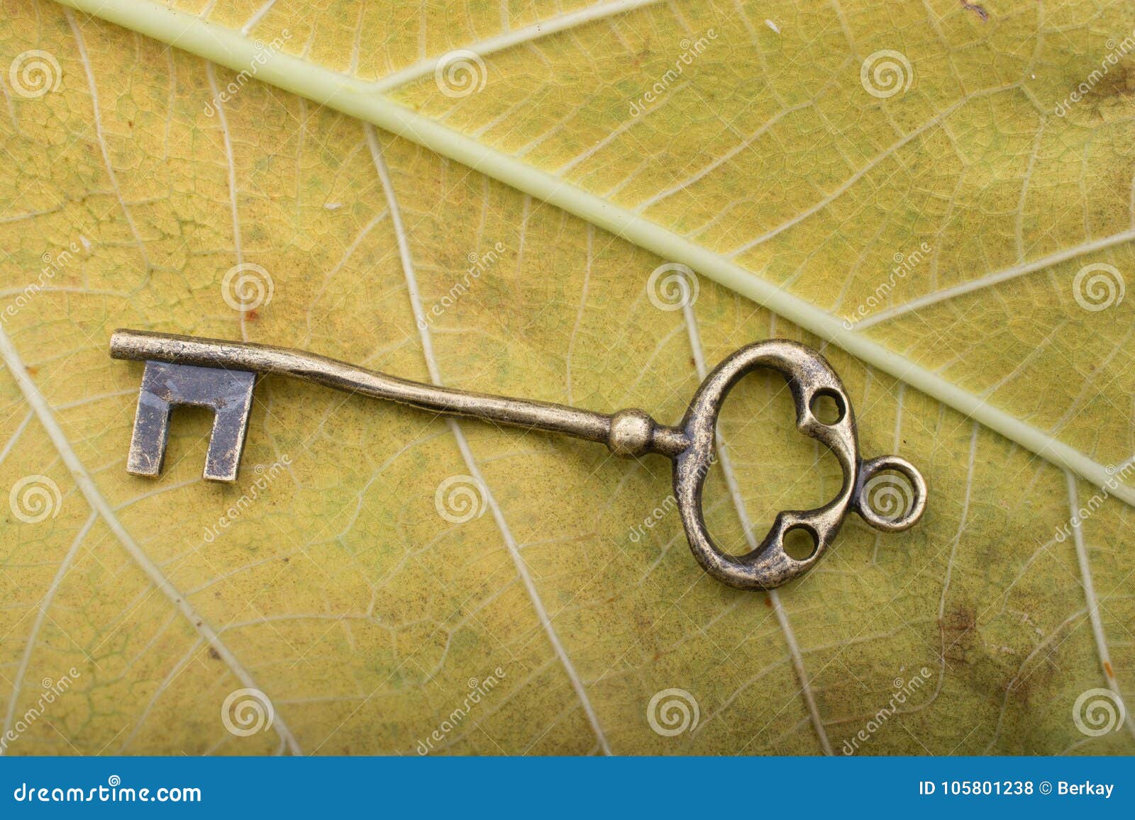 Retro Styled Key Decorative Key Stock Photo - Image of unlock, metal ...