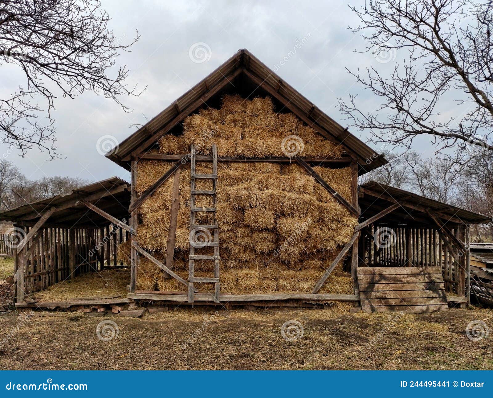 Retro village barn house stock image. Image of barn - 244495441