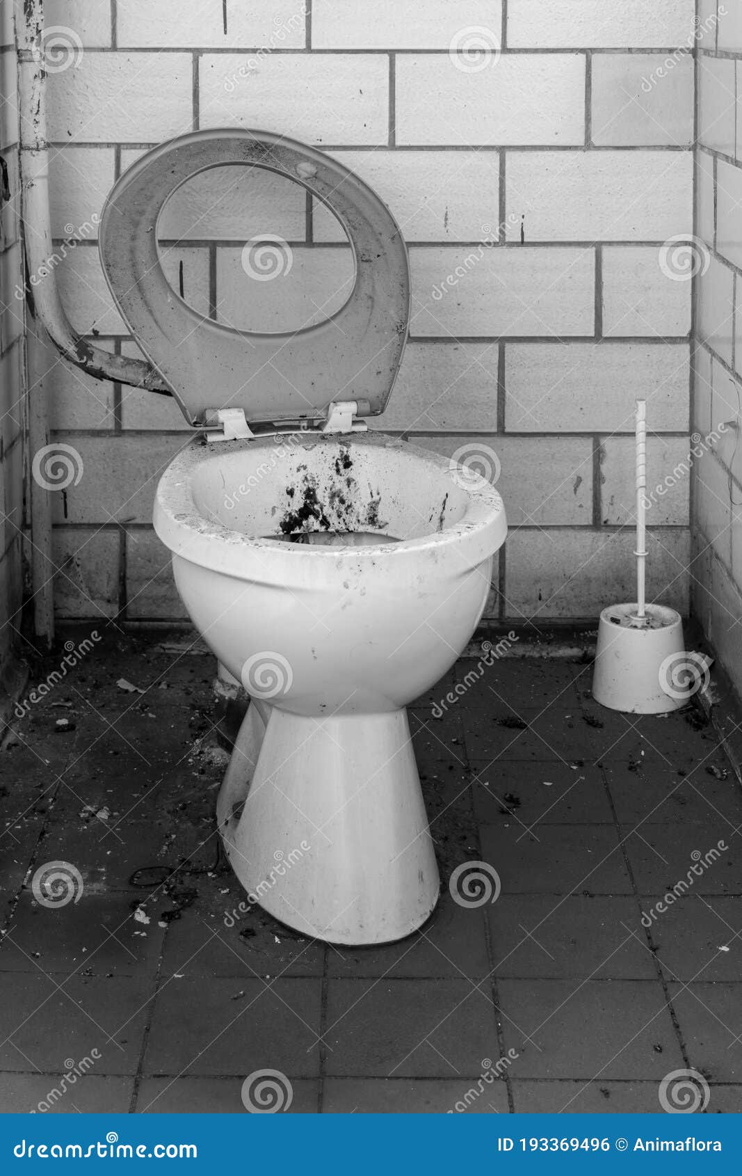 Retro WC Vintage in the Bathroom Stock Photo - Image of building ...