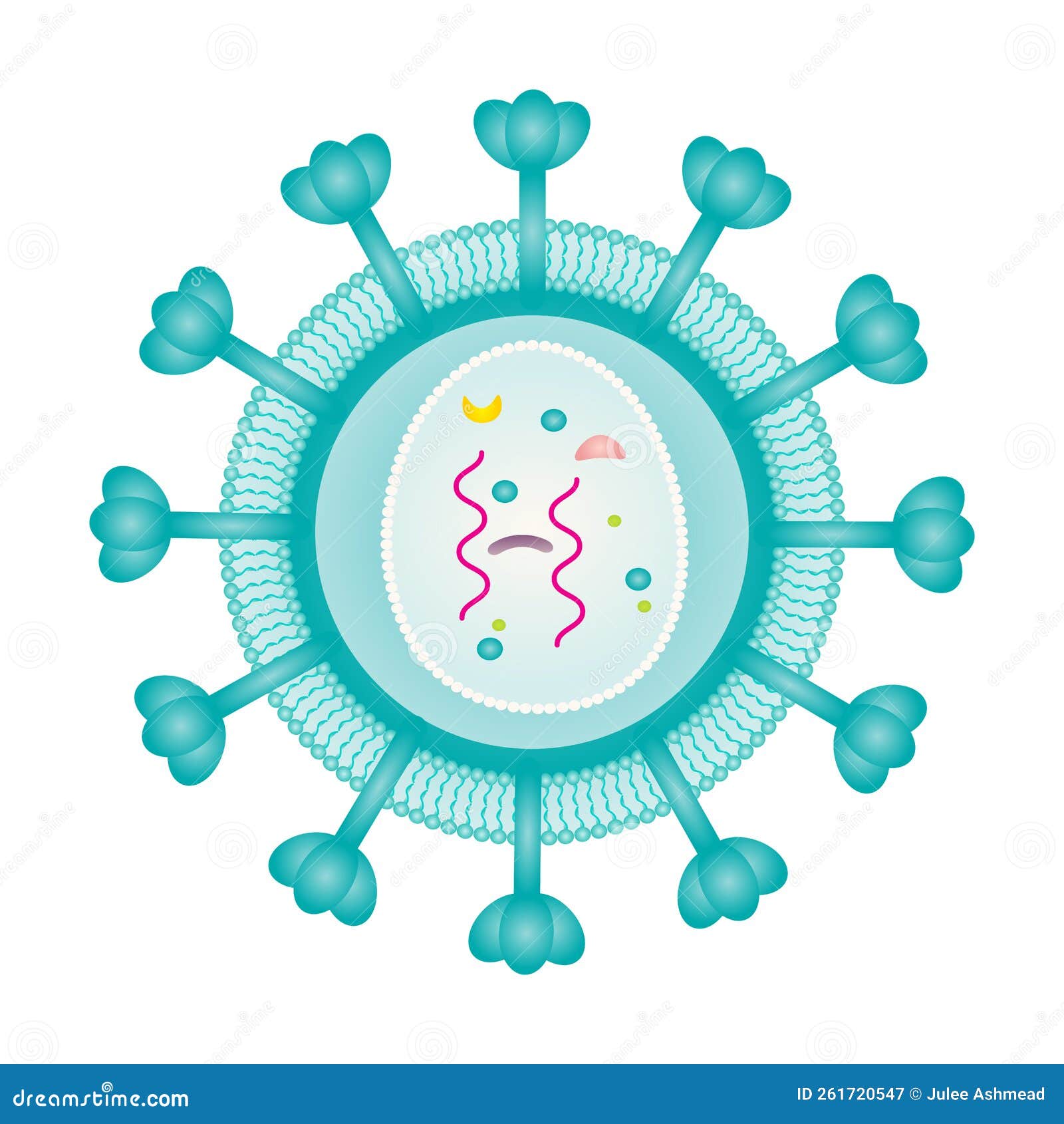 Retrovirus Structure Vector Illustration Graphic Template Stock Vector ...