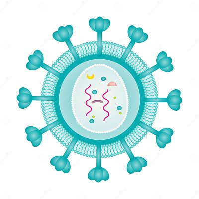 Retrovirus Structure Vector Illustration Graphic Template Stock Vector ...