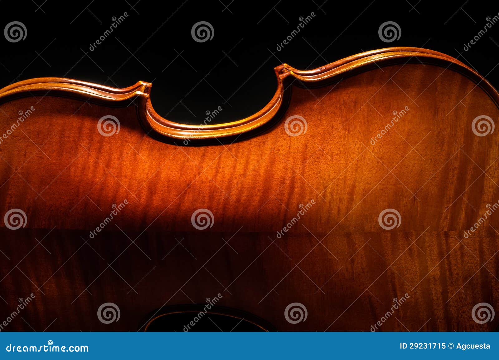 Retrovisione Del Violino Potata Immagine Stock - Immagine di orchestra ...