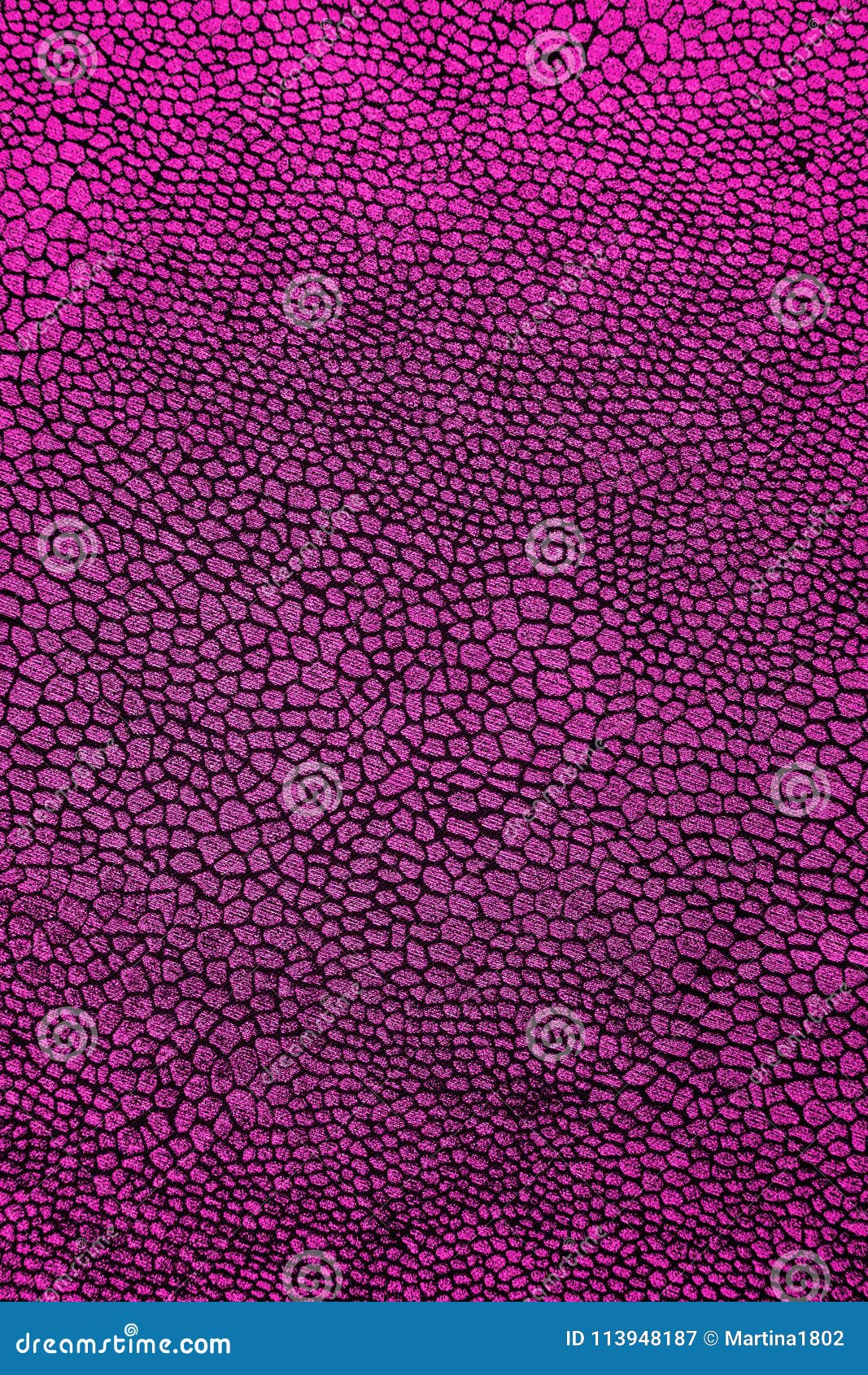 Rettili Della Pelle Quali Il Coccodrillo O Il Serpente Immagine Stock ...