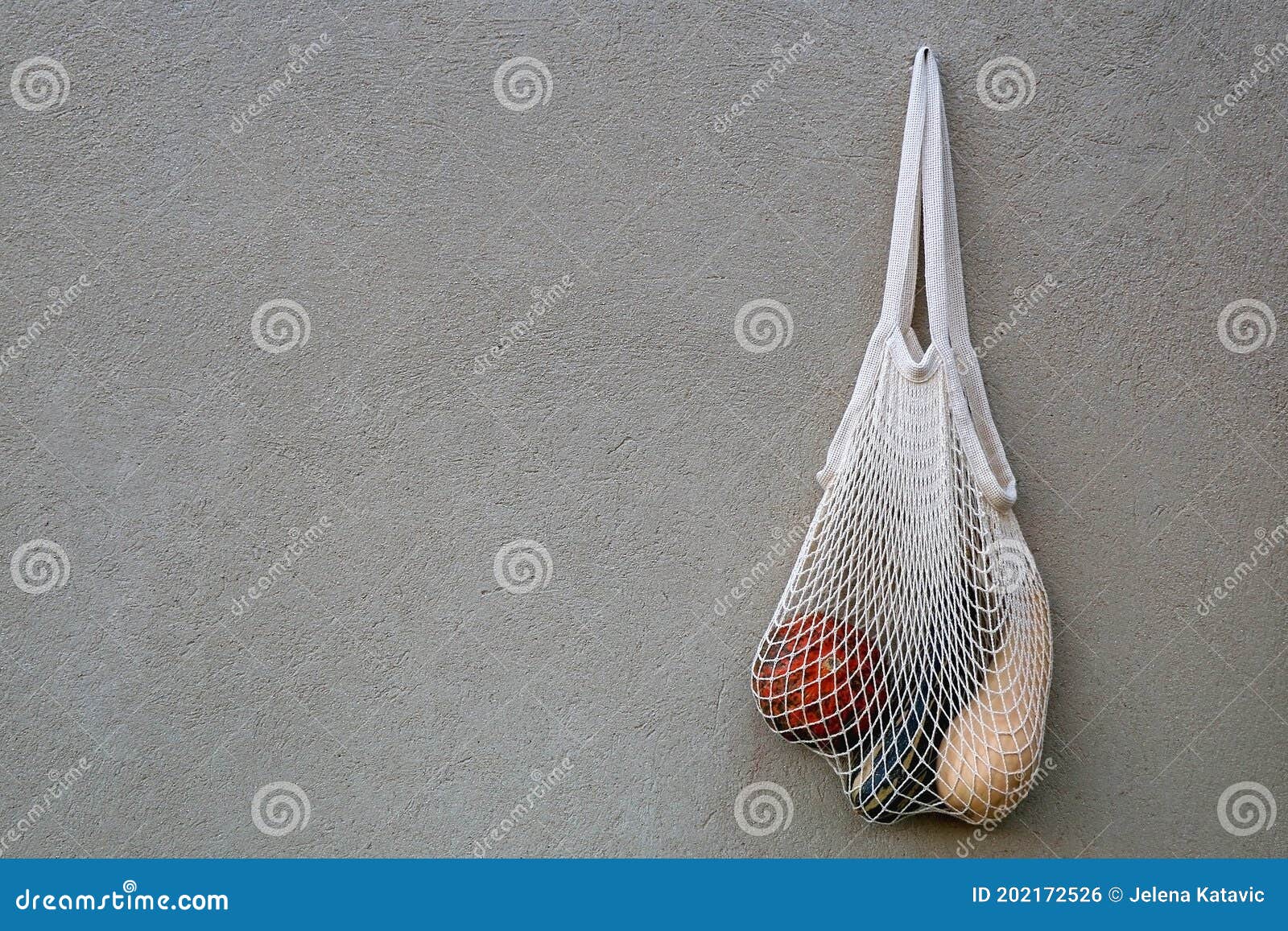 Bag with Gourds stock photo. Image of healthy, concrete - 202172526