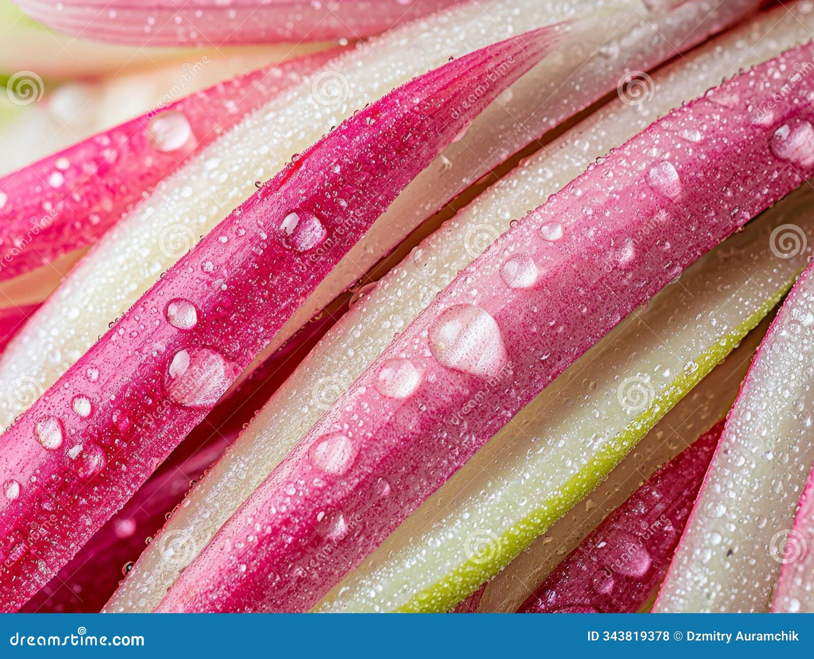 It Reveals a Shiny Surface and Concentric Layers As it is Cut into ...