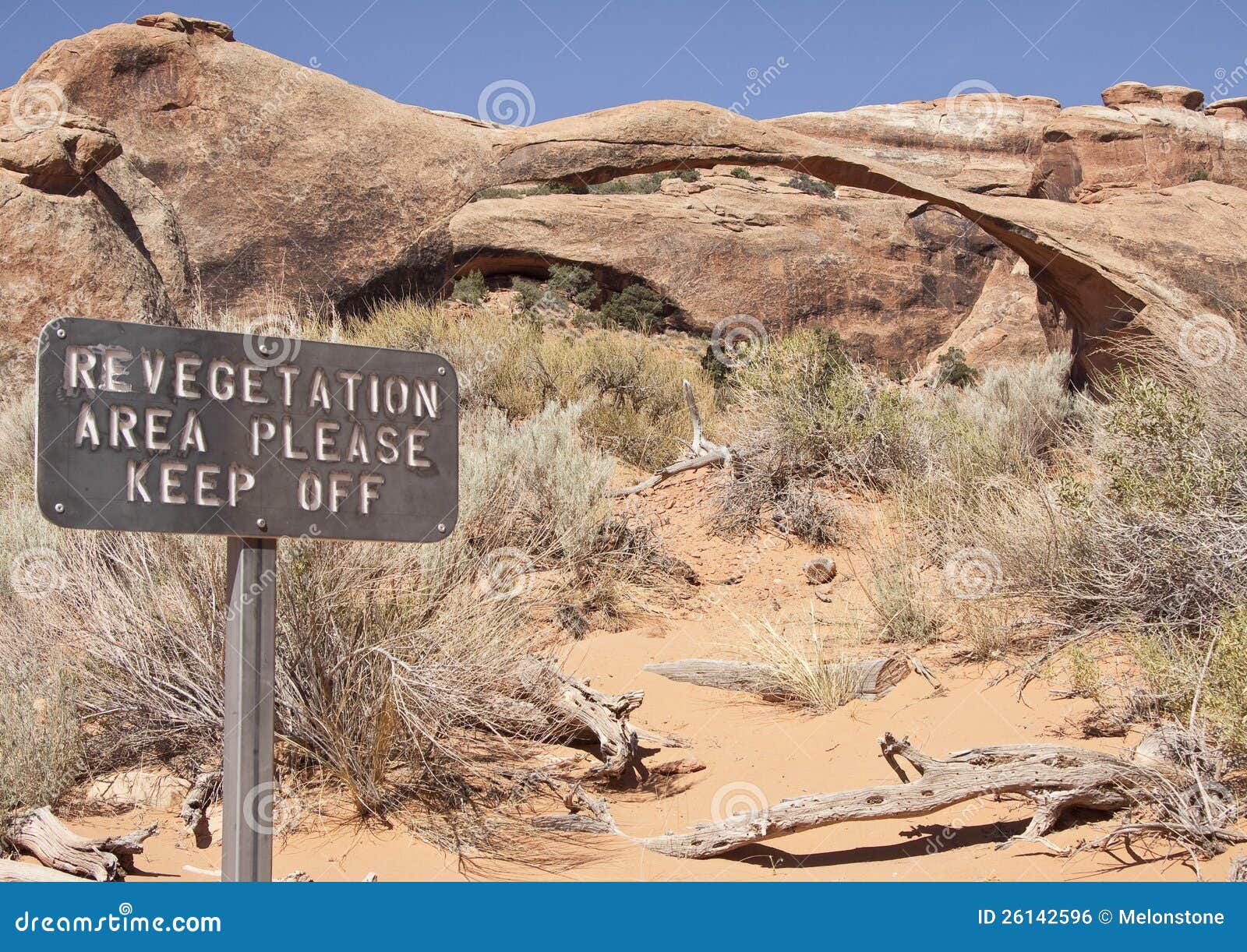 Revegetation area stock photo. Image of arches, habitat - 26142596