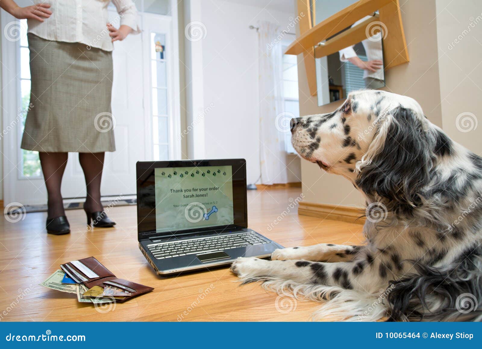 Reventado foto de archivo. Imagen de mirando, hardwood - 10065464