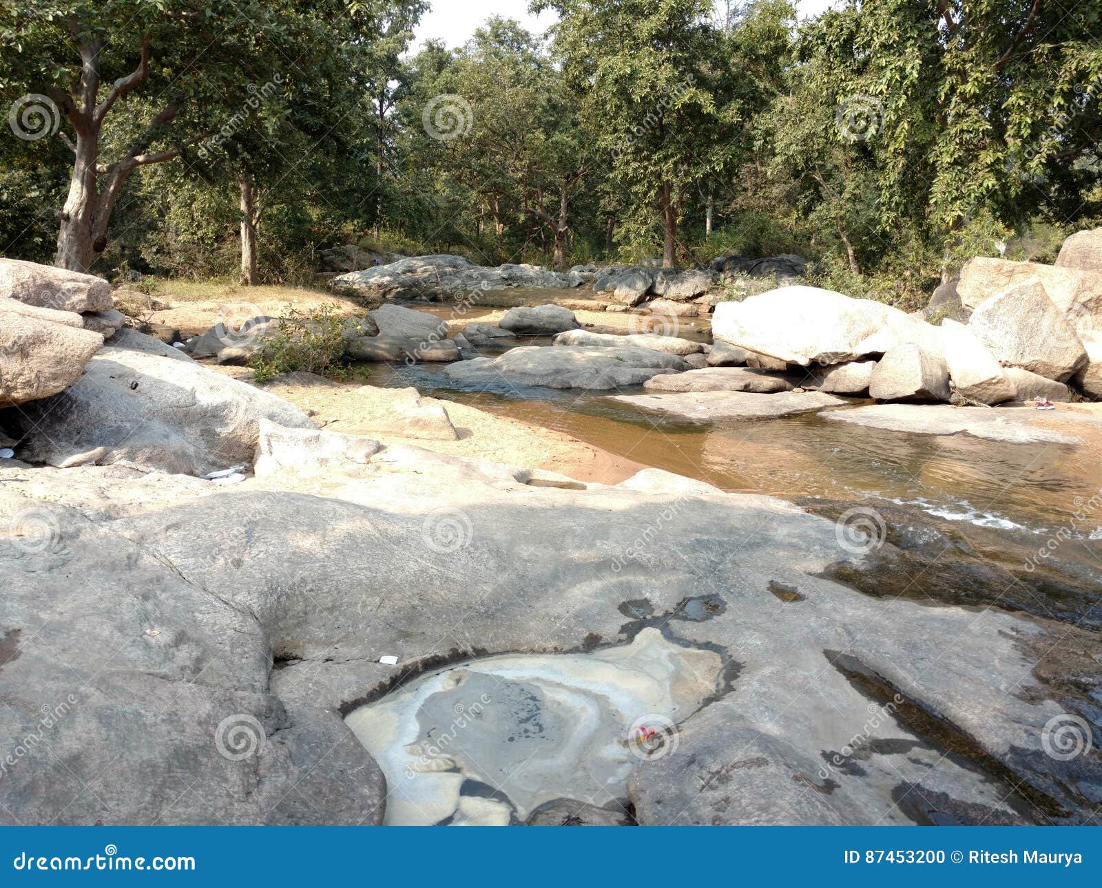 Rever stone tree stock photo. Image of rever, tree, stone - 87453200