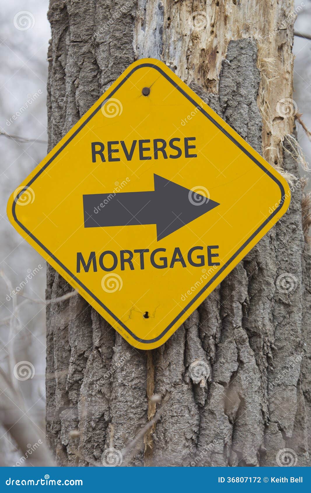 Reverse Mortgage Arrow Sign on Tree Stock Photo - Image of black ...