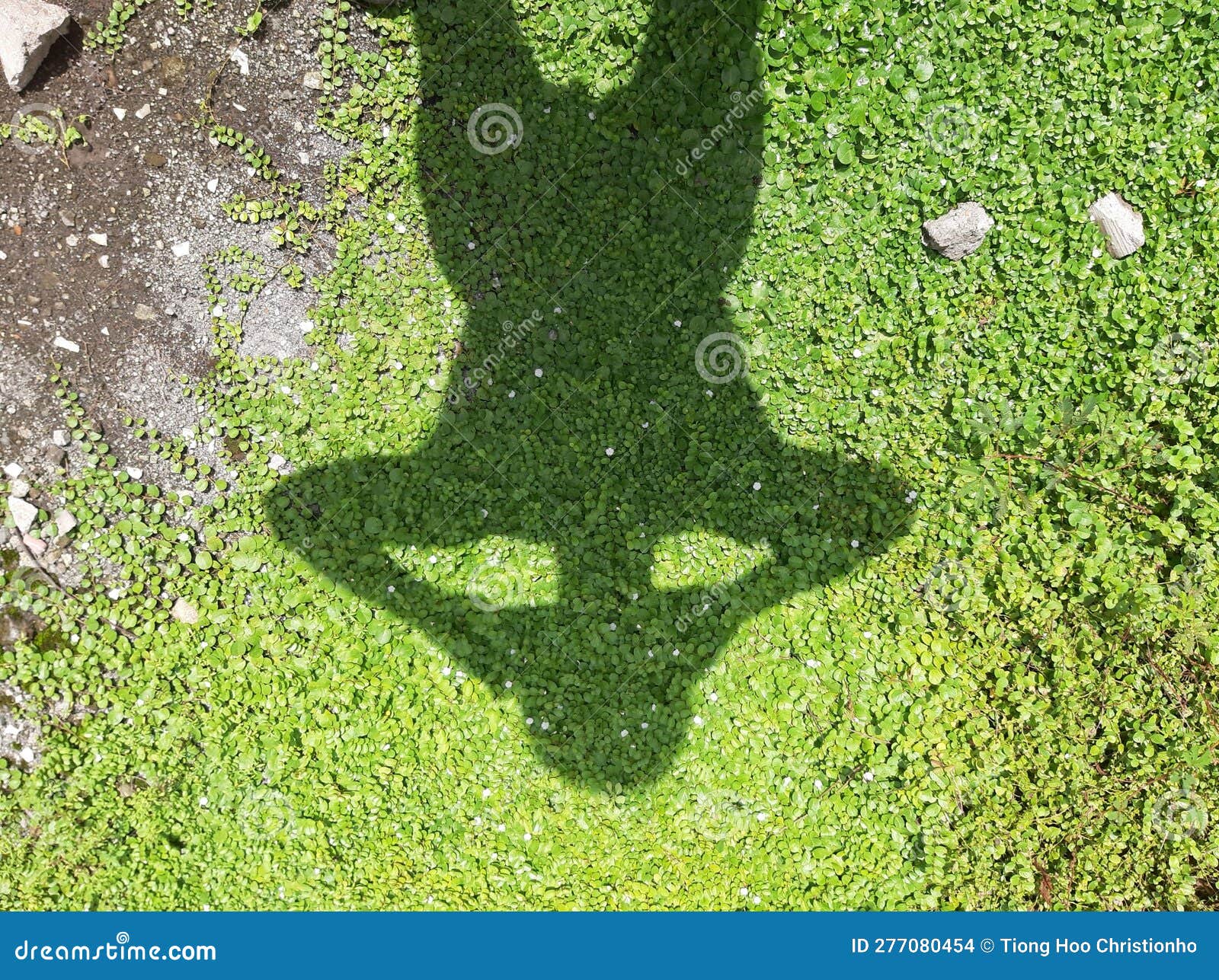 The Reverse Shadow on Green Land Stock Photo - Image of figurative ...