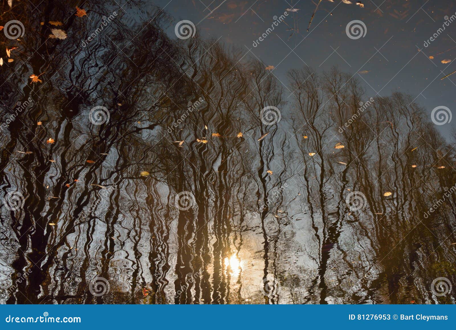 Reversed Image Concept, Reflection Of A Modern Housing Block In A River ...