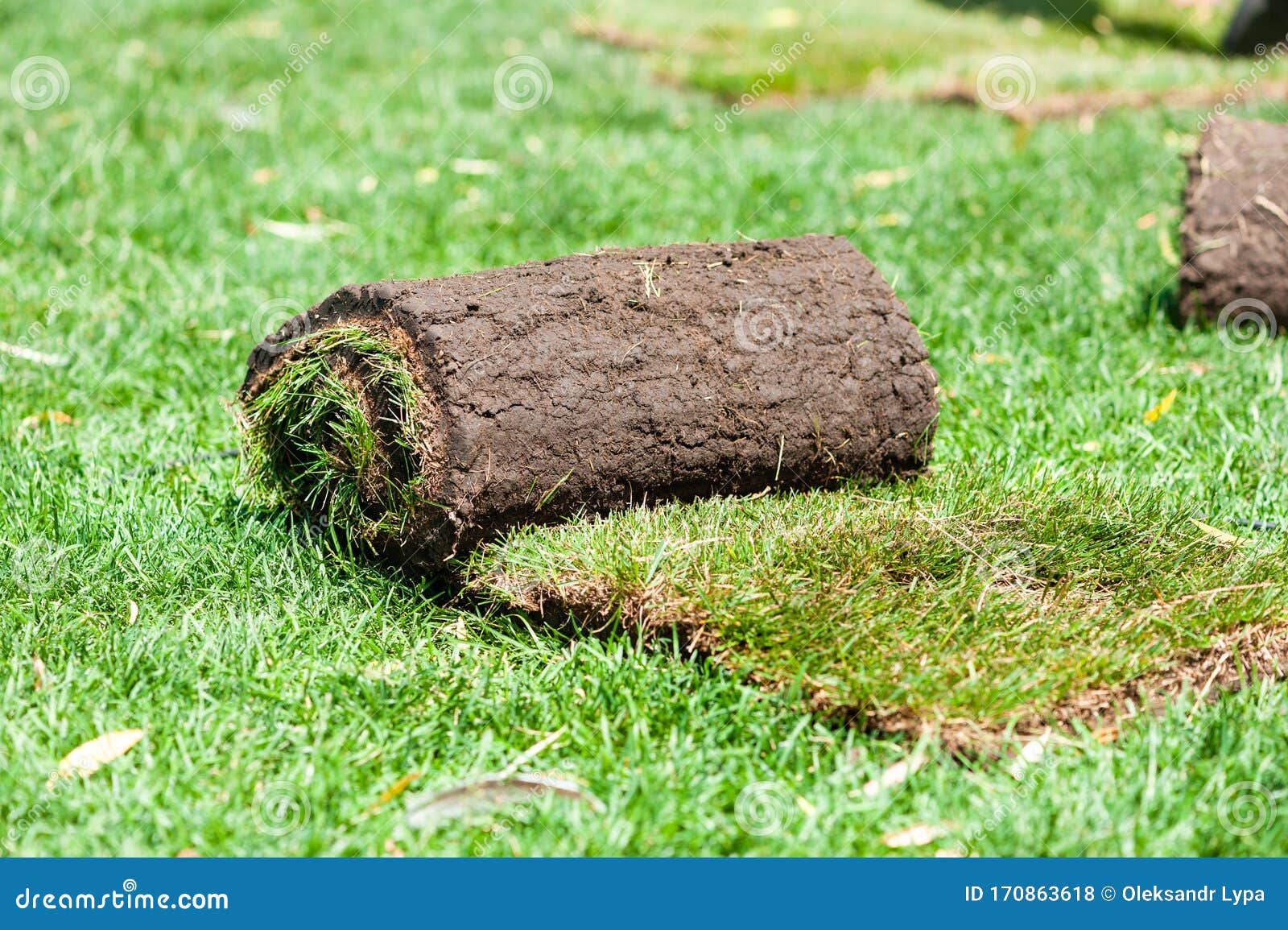 Revestimento De Relva Natural Foto de Stock - Imagem de tapete ...