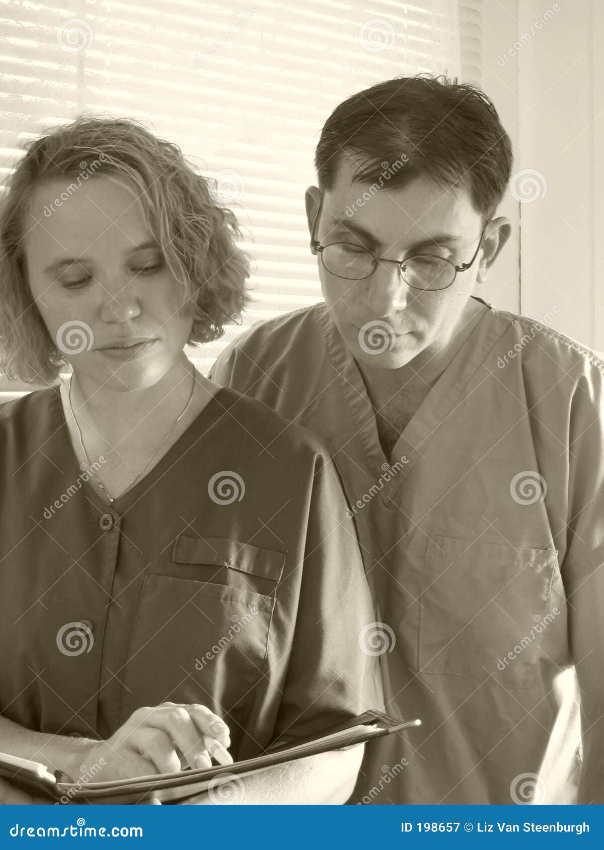 Reviewing the Chart stock image. Image of people, office - 198657