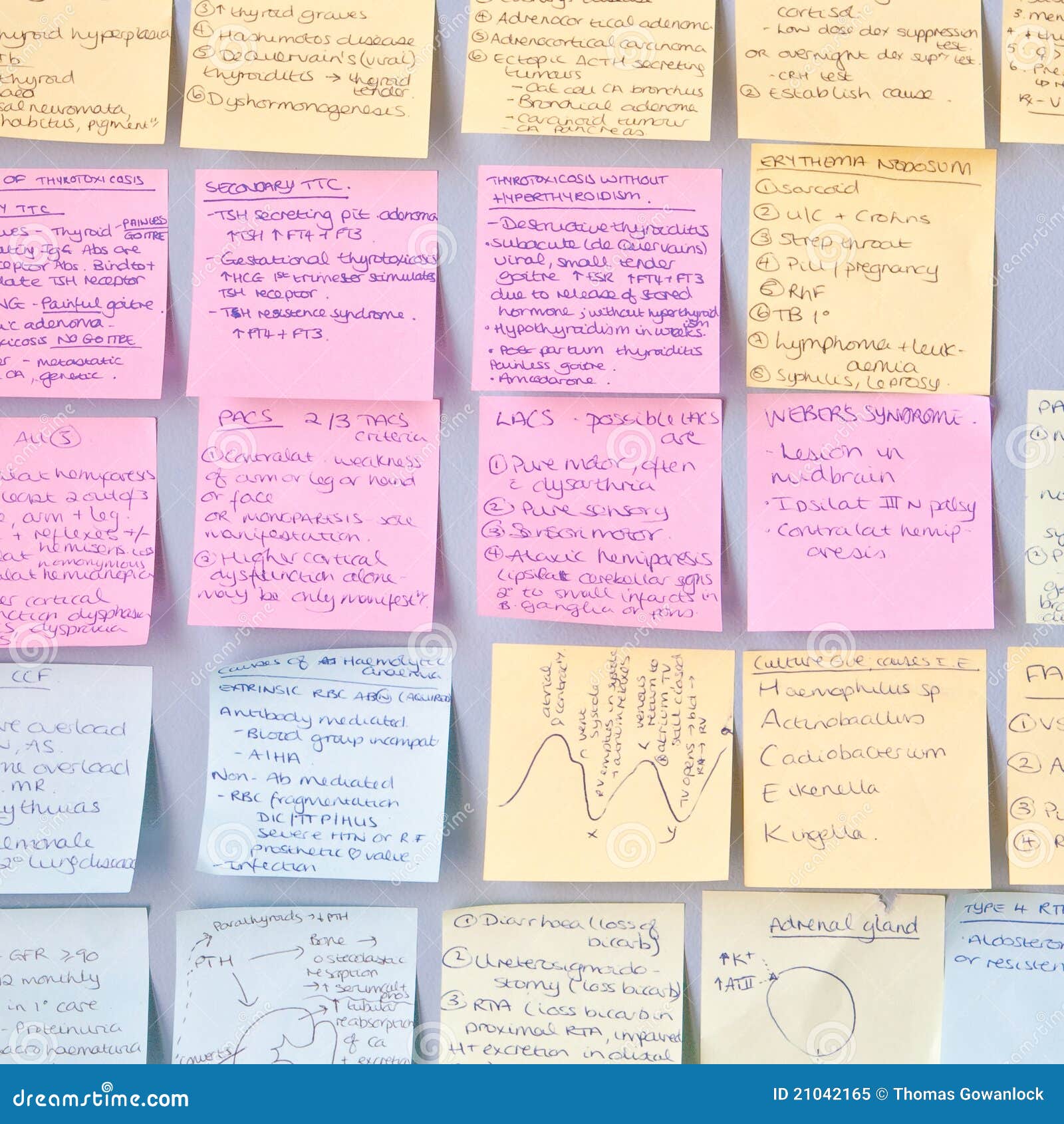 Revision notes stock image. Image of business, wall, memoire - 21042165