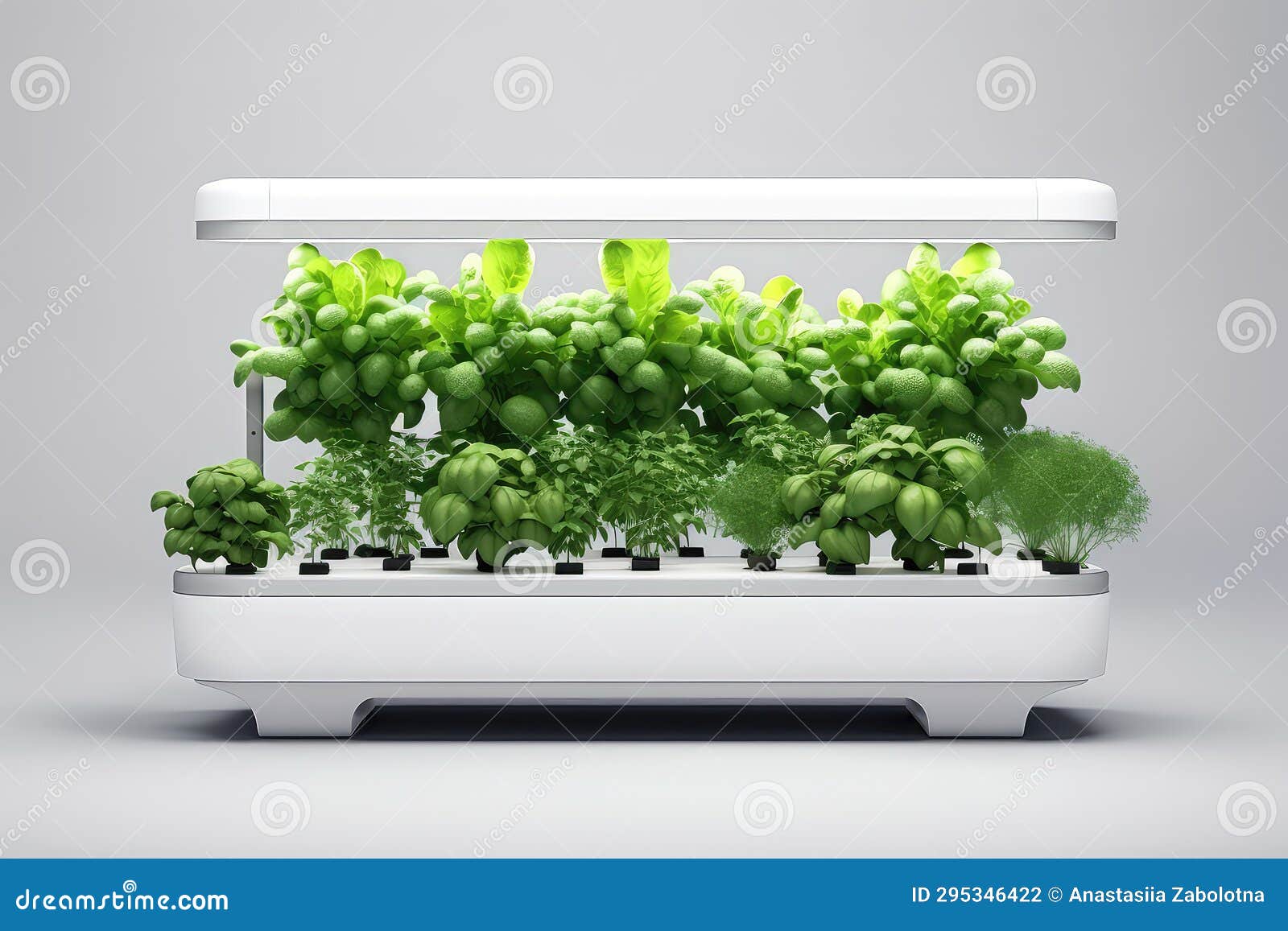 Revolutionary Organic Food Cultivation Process at Work Stock ...