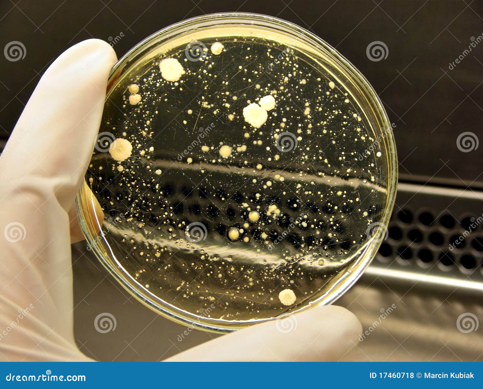 Microbiologie - La Taille Des Micro-Organismes - Techno-Science - Machine