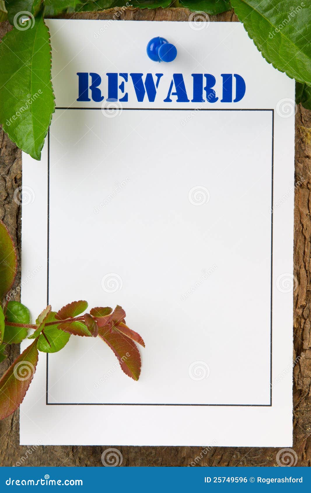 Reward Notice stock photo. Image of text, wood, bark - 25749596