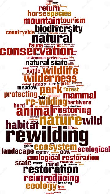 Rewilding word cloud stock vector. Illustration of word - 280143325
