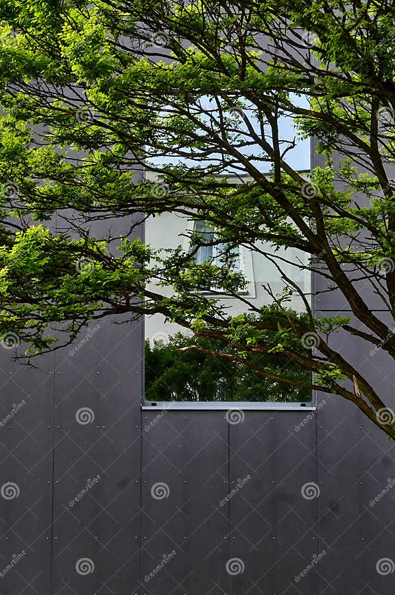 Reww abd window stock photo. Image of building, window - 160266780