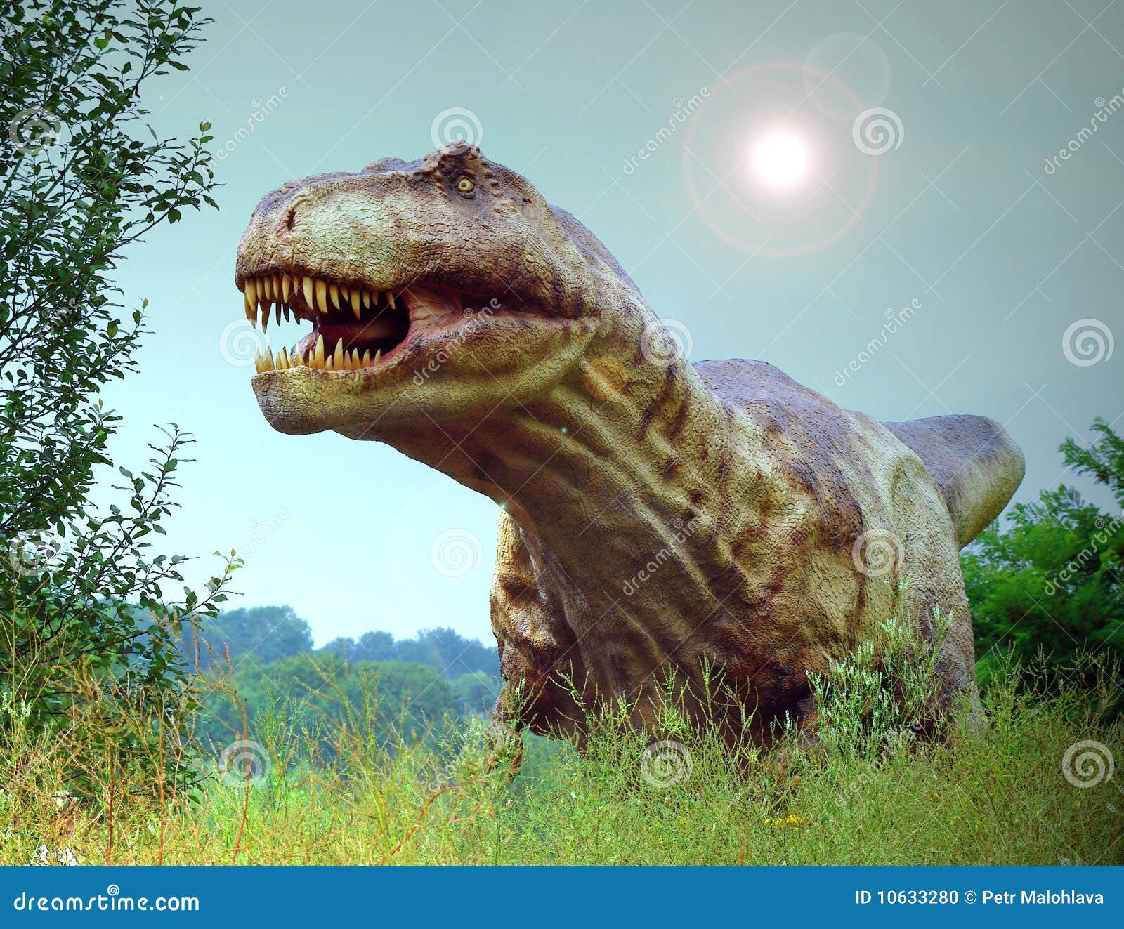 Rex de Tyranosaurus photo stock. Image du jurassique - 10633280