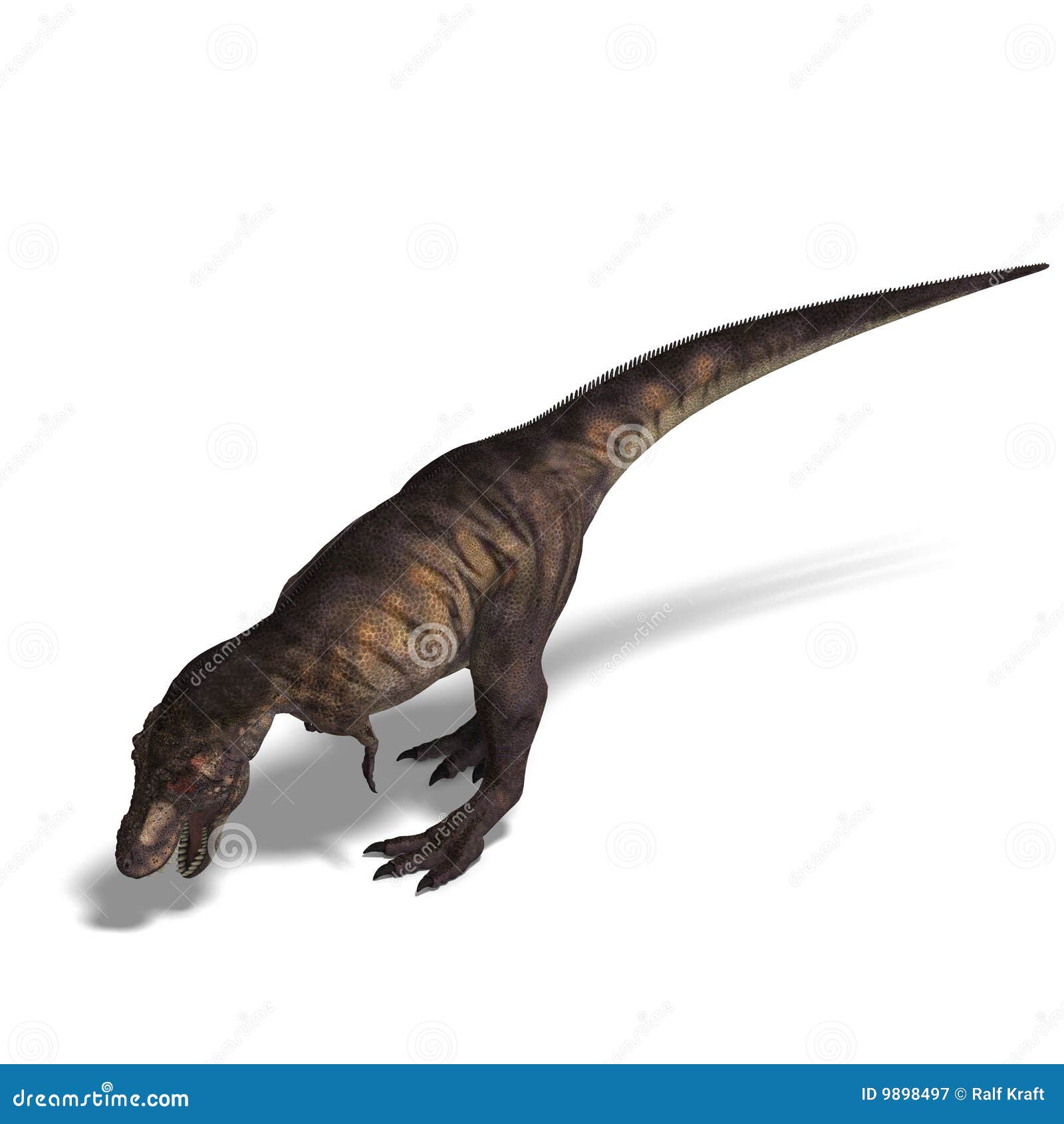 Rex do Tyrannosaurus ilustração stock. Ilustração de coma - 9898497
