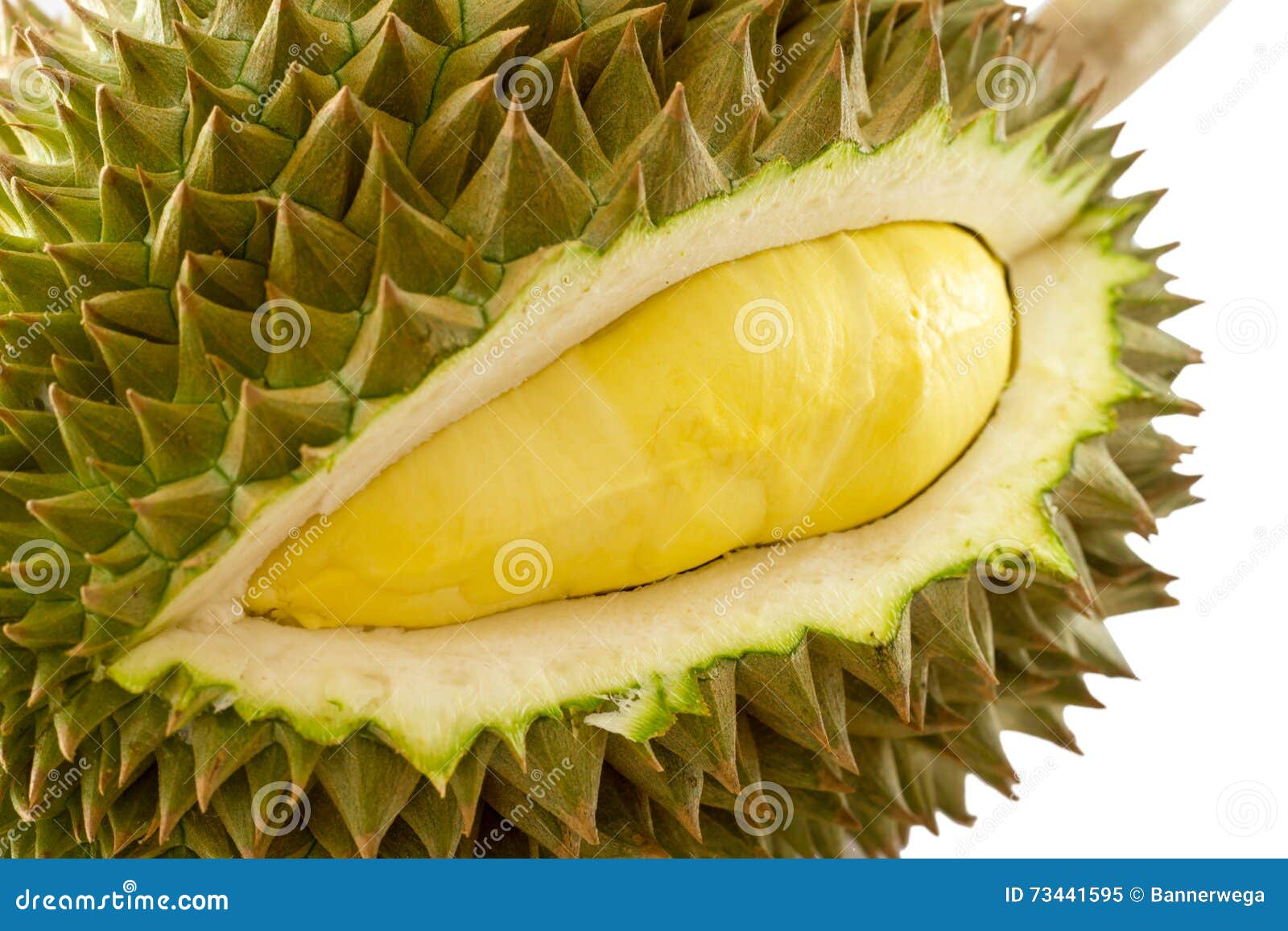 Rey De Frutas, Durian En Blanco Imagen de archivo - Imagen de cruz ...