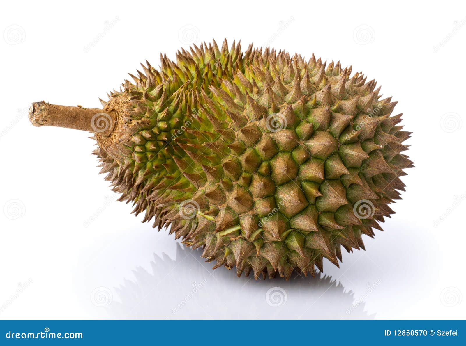 Rey de la fruta, durian. foto de archivo. Imagen de frescura - 12850570